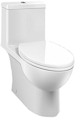 Caroma Smart Toilet Review 2024: Tech-Packed Toilets for the Modern ...