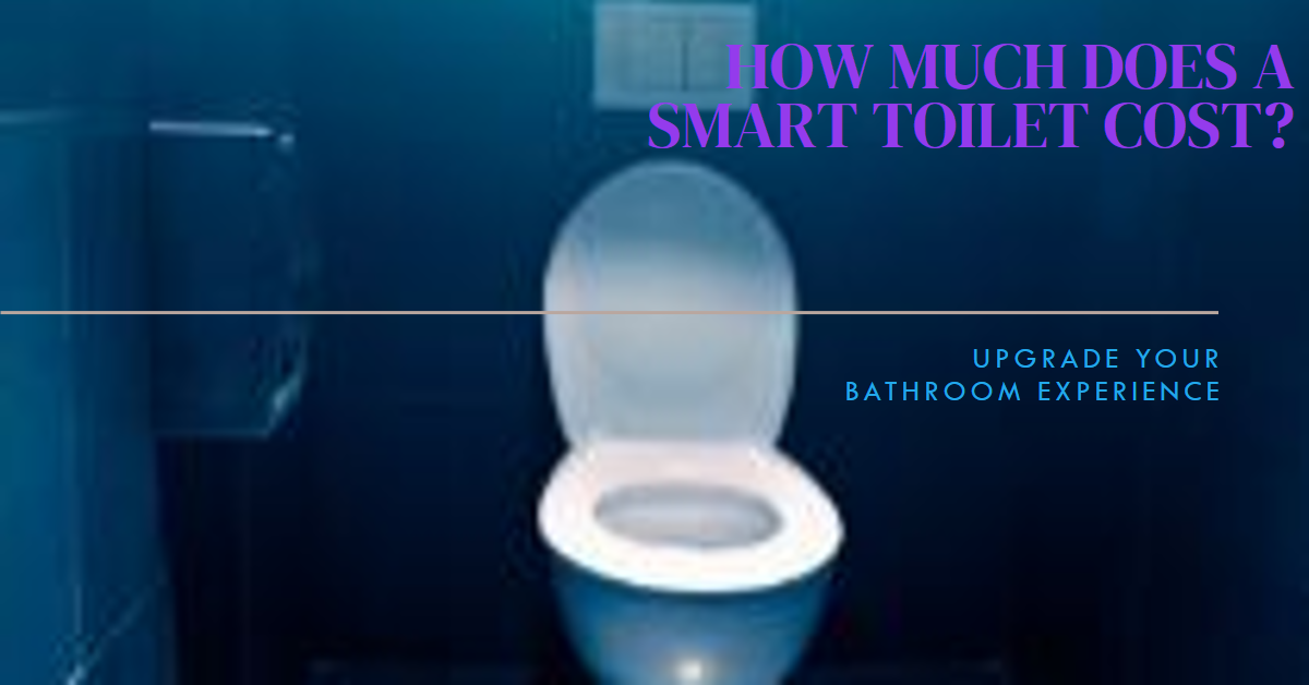 How Much Does a Smart Toilet Cost? - Smart toilet seat review