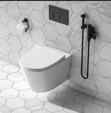 Cruze Wall Hung Smart Toilet Review - Super Advanced Toilet Technology?