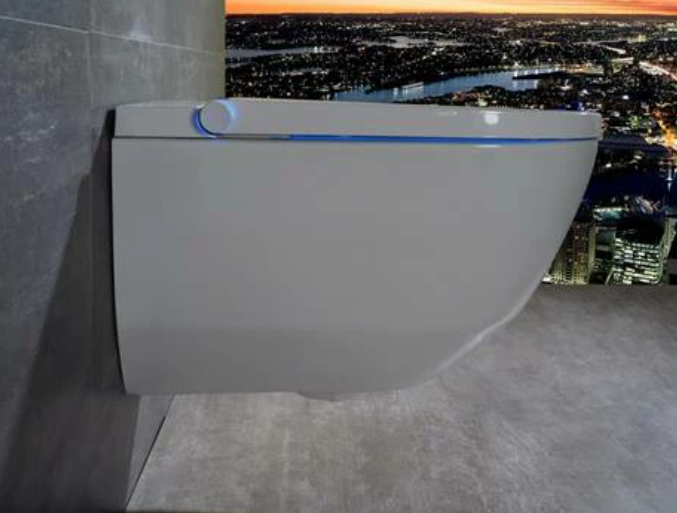 Cruze Wall Hung Smart Toilet Review - Super Advanced Toilet Technology?